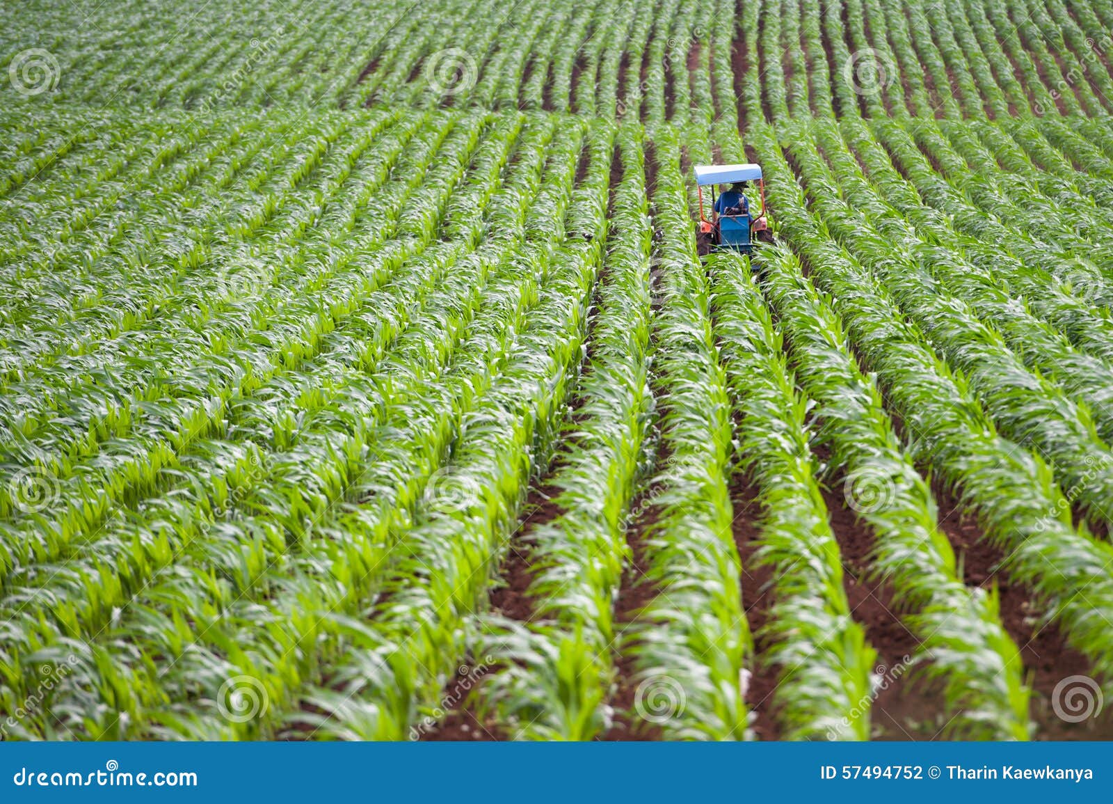 Small scale tractor stock photo. Image of country, landscape - 57494752