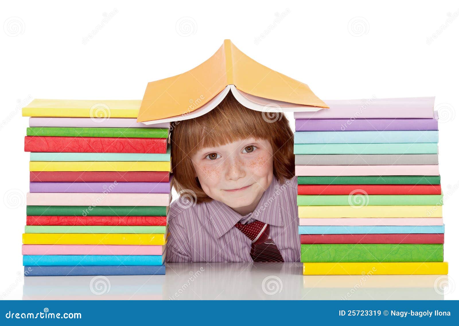 Small School Boy with Lots of Books Stock Image - Image of person ...