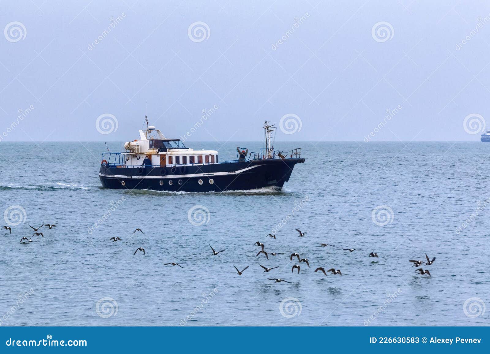 Small Sea Boat on the Open Sea and a Flock of Long-tailed Ducks Stock ...