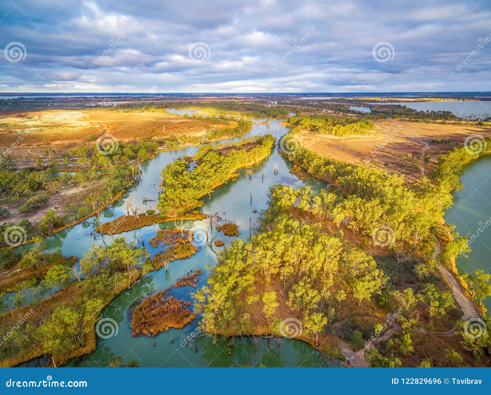 Small Section of Murray River among Native Australian Vegetation. Stock ...