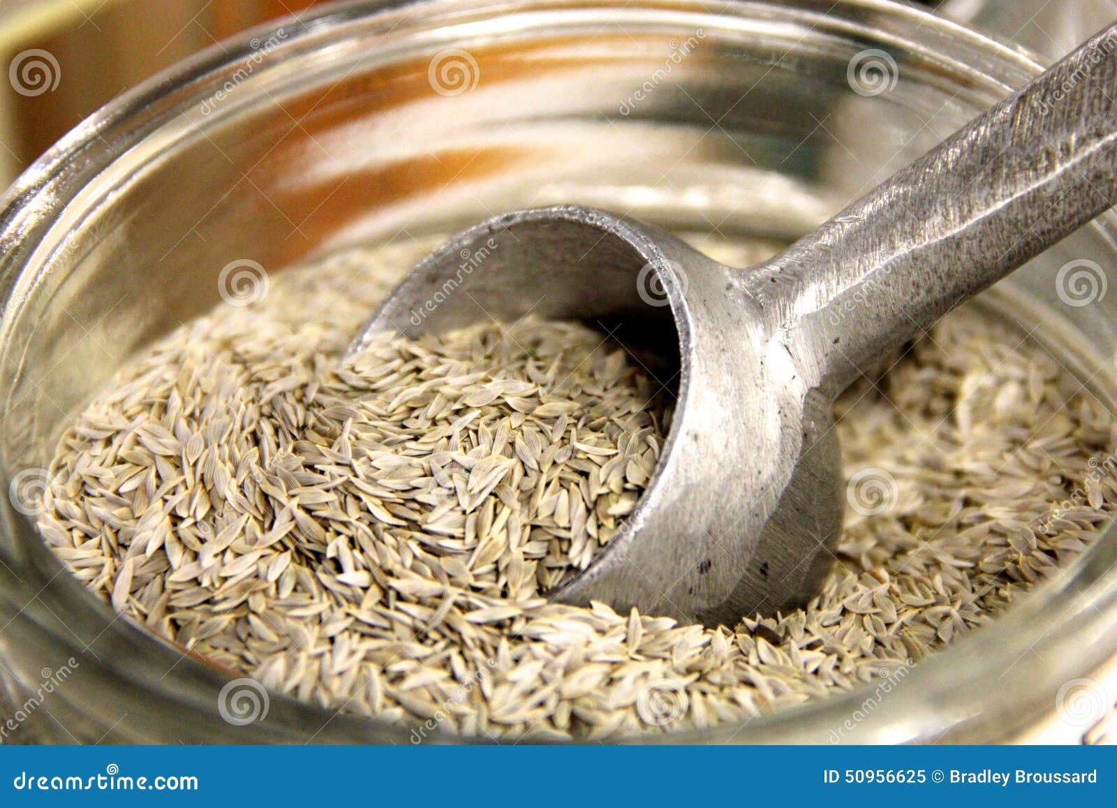 Small Seeds stock image. Image of store, landscaping - 50956625