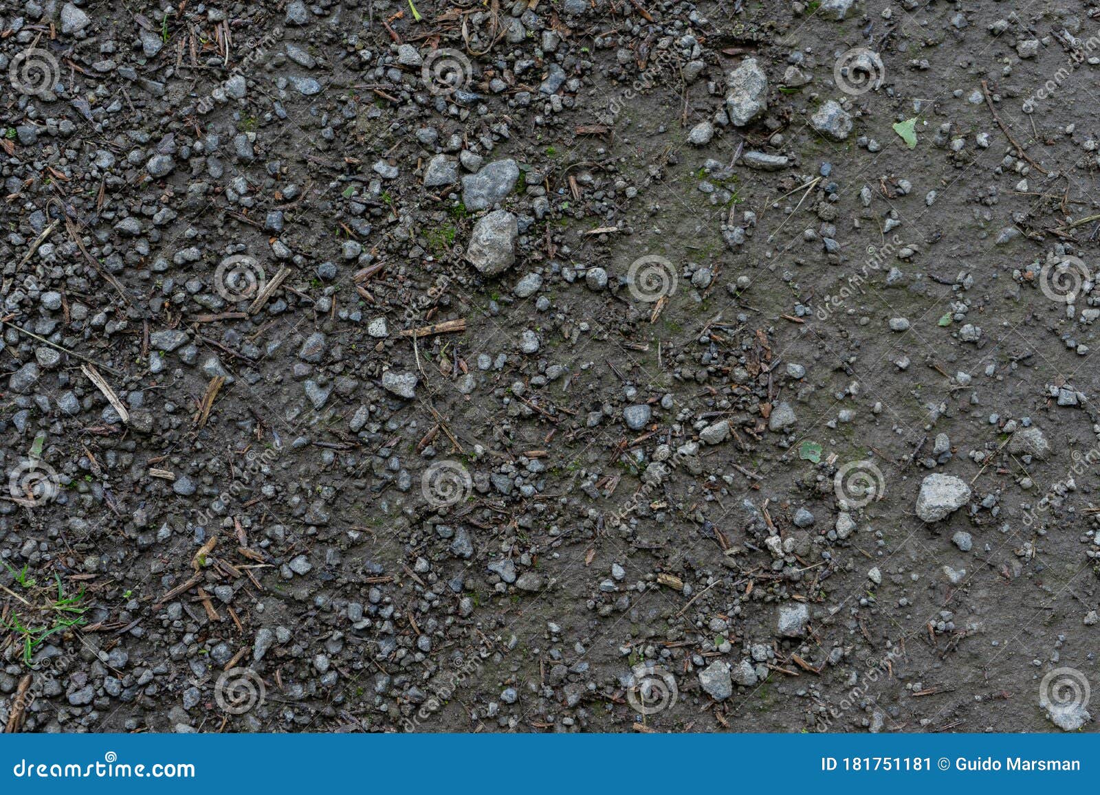 Small Sharp Rocks in Dirty Mud Ground Texture with Small Wooden Sticks ...