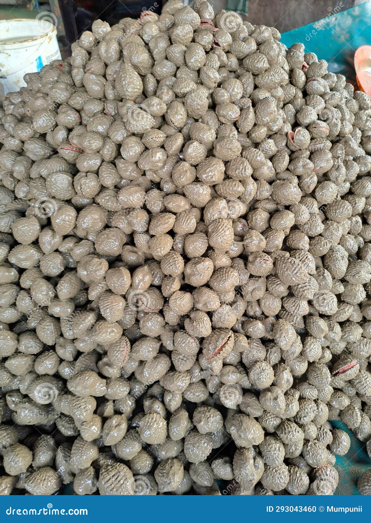 Small Shells Filled with Mud Stock Photo - Image of produce, rock ...