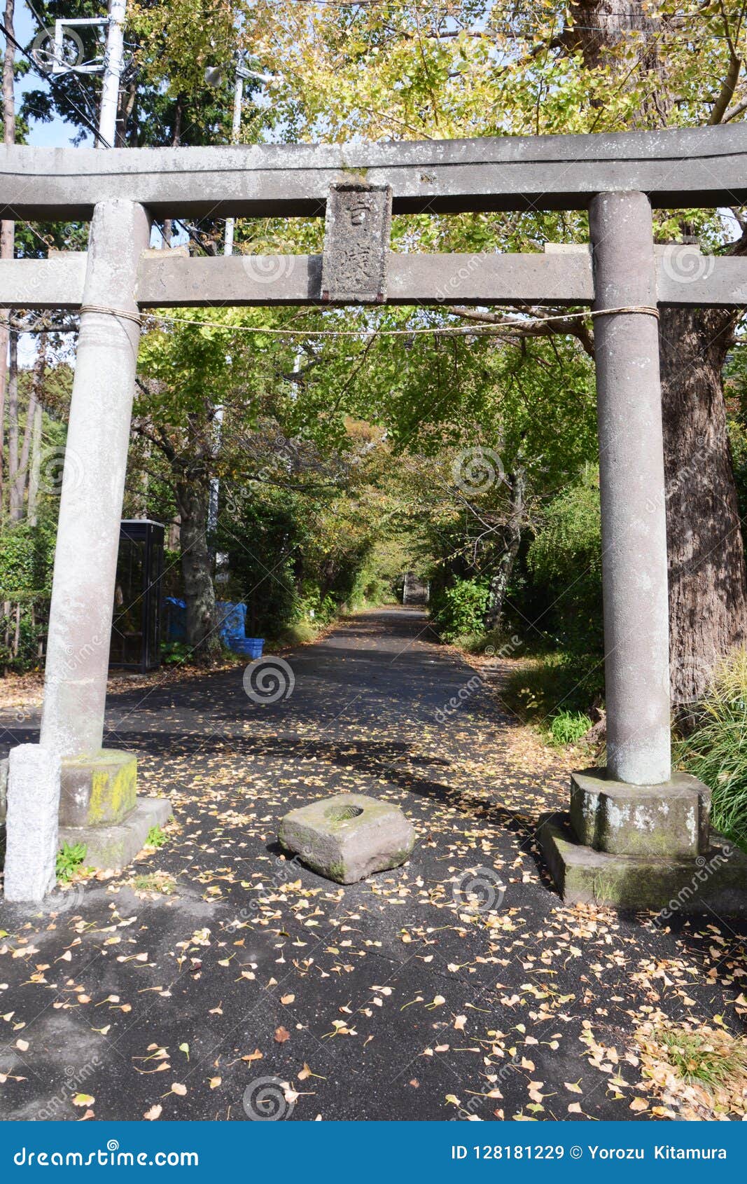 A small Shinto shrine stock image. Image of tree, forest - 128181229