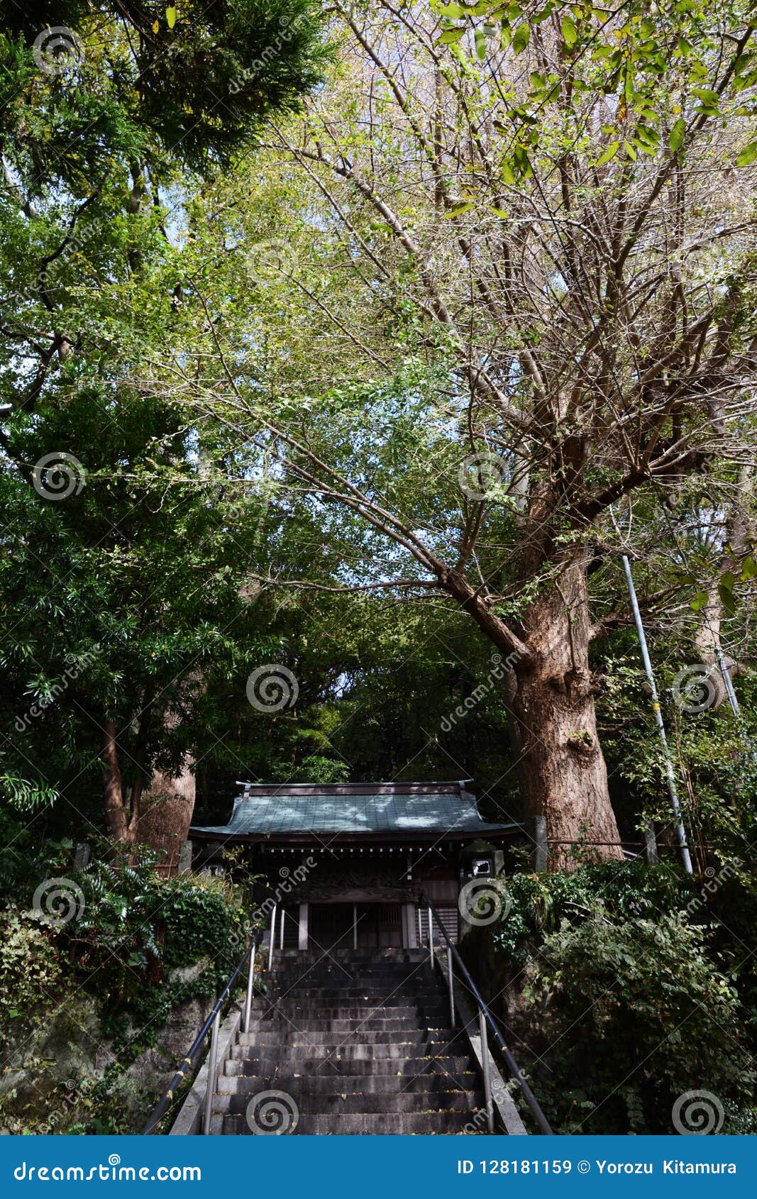 A small Shinto shrine stock image. Image of building - 128181159