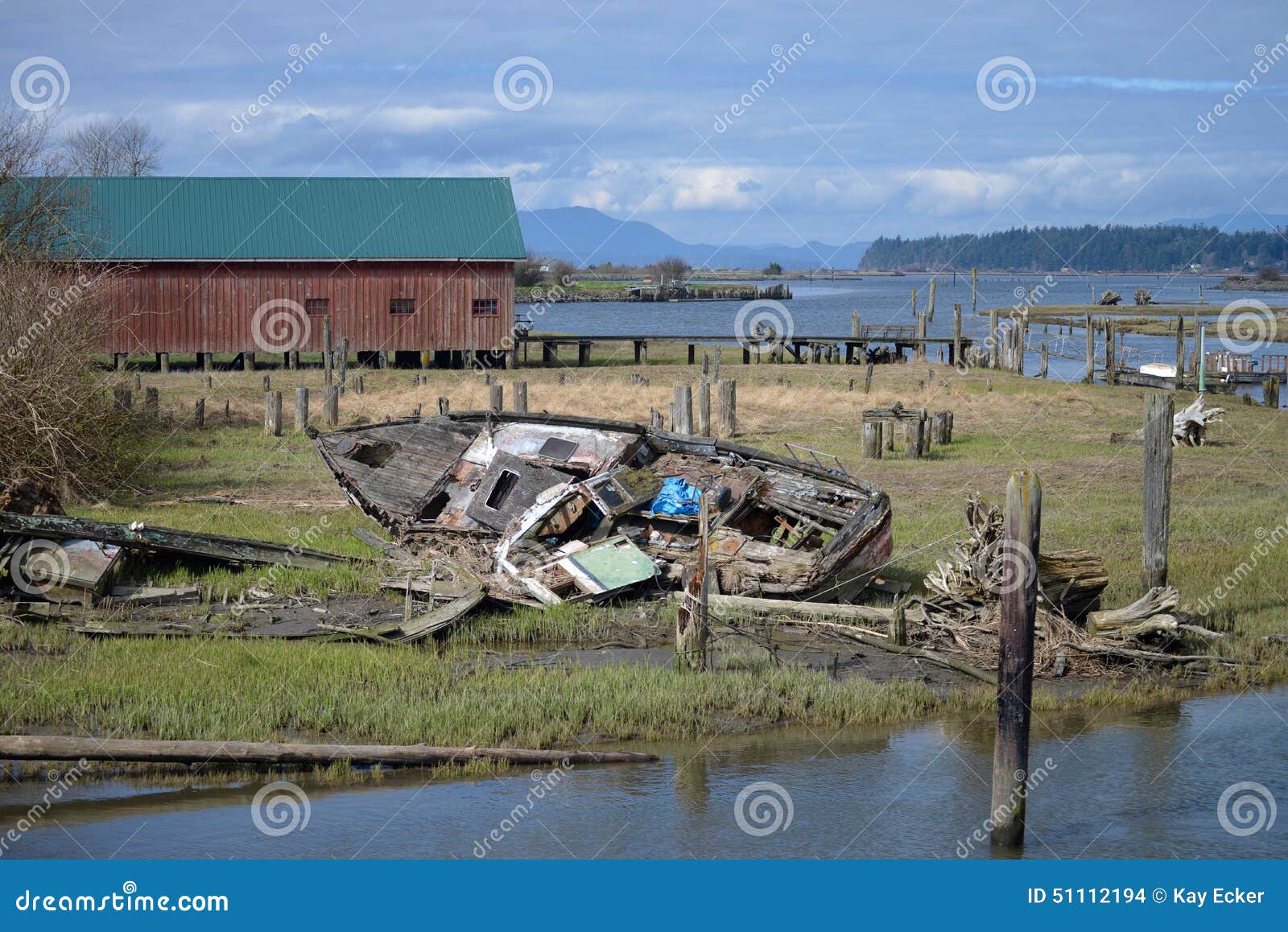 Small Shipwreck in Grassy Marsh. Stock Photo - Image of shipwreck, boat ...
