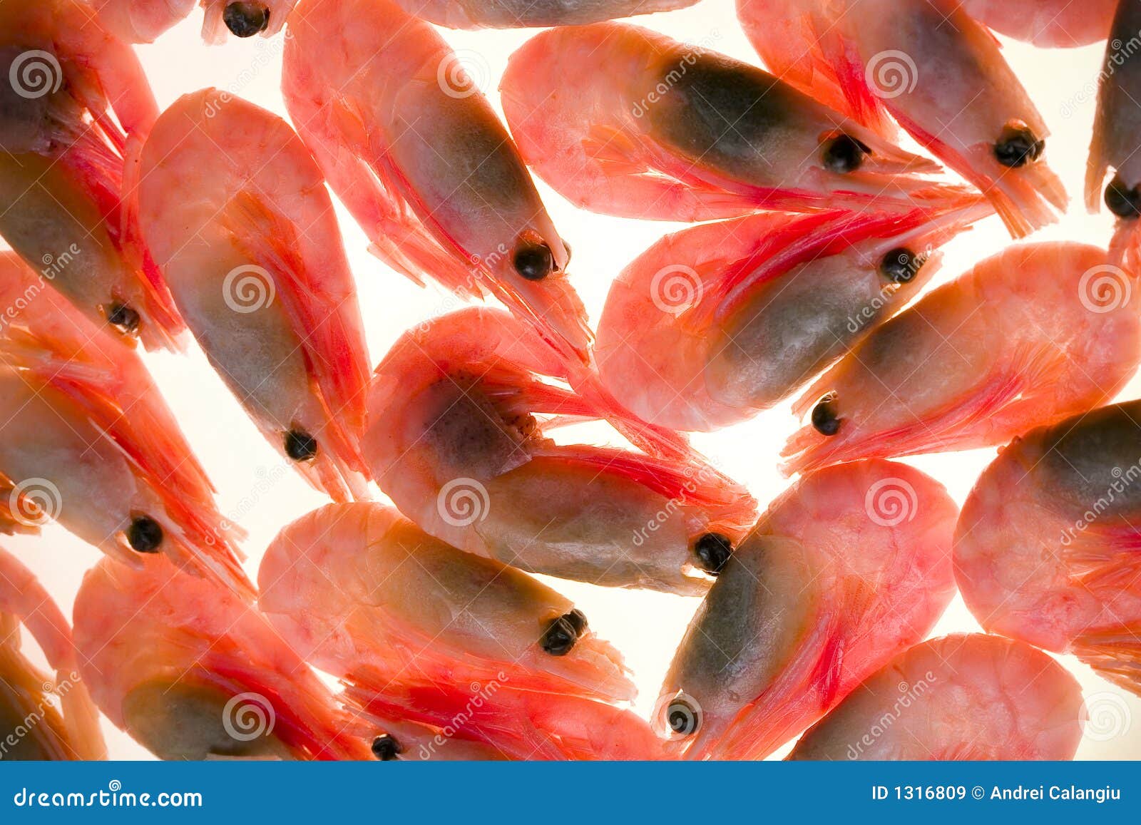 Small shrimp stock image. Image of dish, bunch, ingredient - 1316809