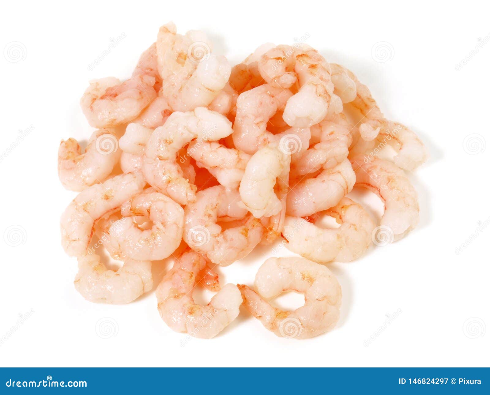 Small Shrimp - Shrimps stock image. Image of healthy - 146824297