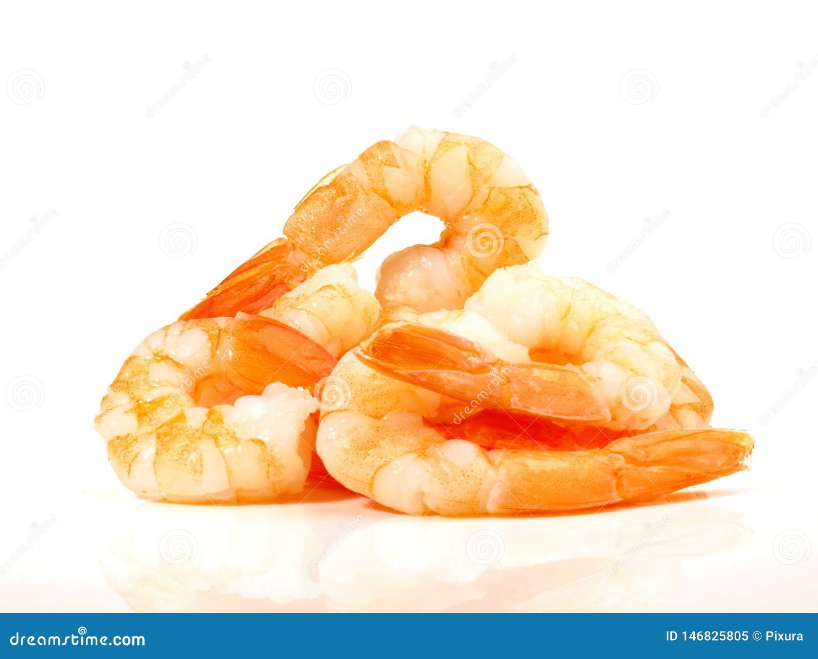 Small Shrimp - Shrimps stock image. Image of healthy - 146825805