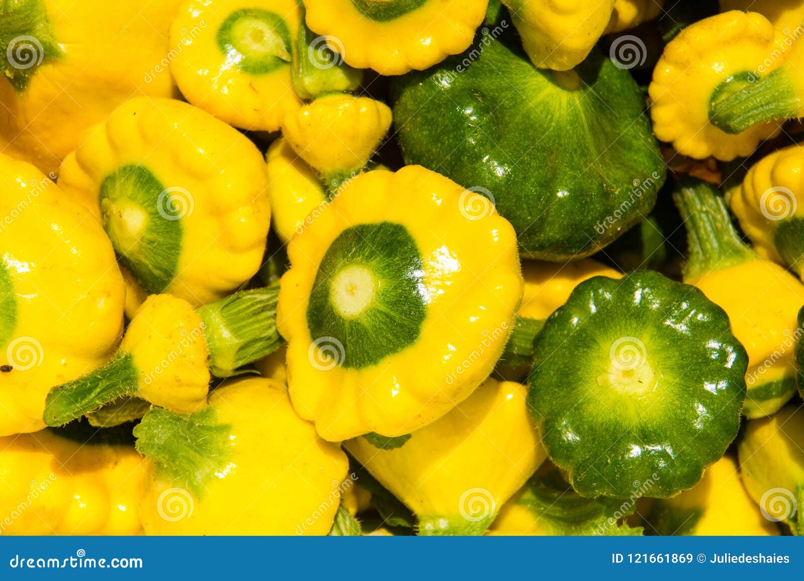 Small Size Patty Pan Squash Stock Image - Image of fresh, scalloped ...