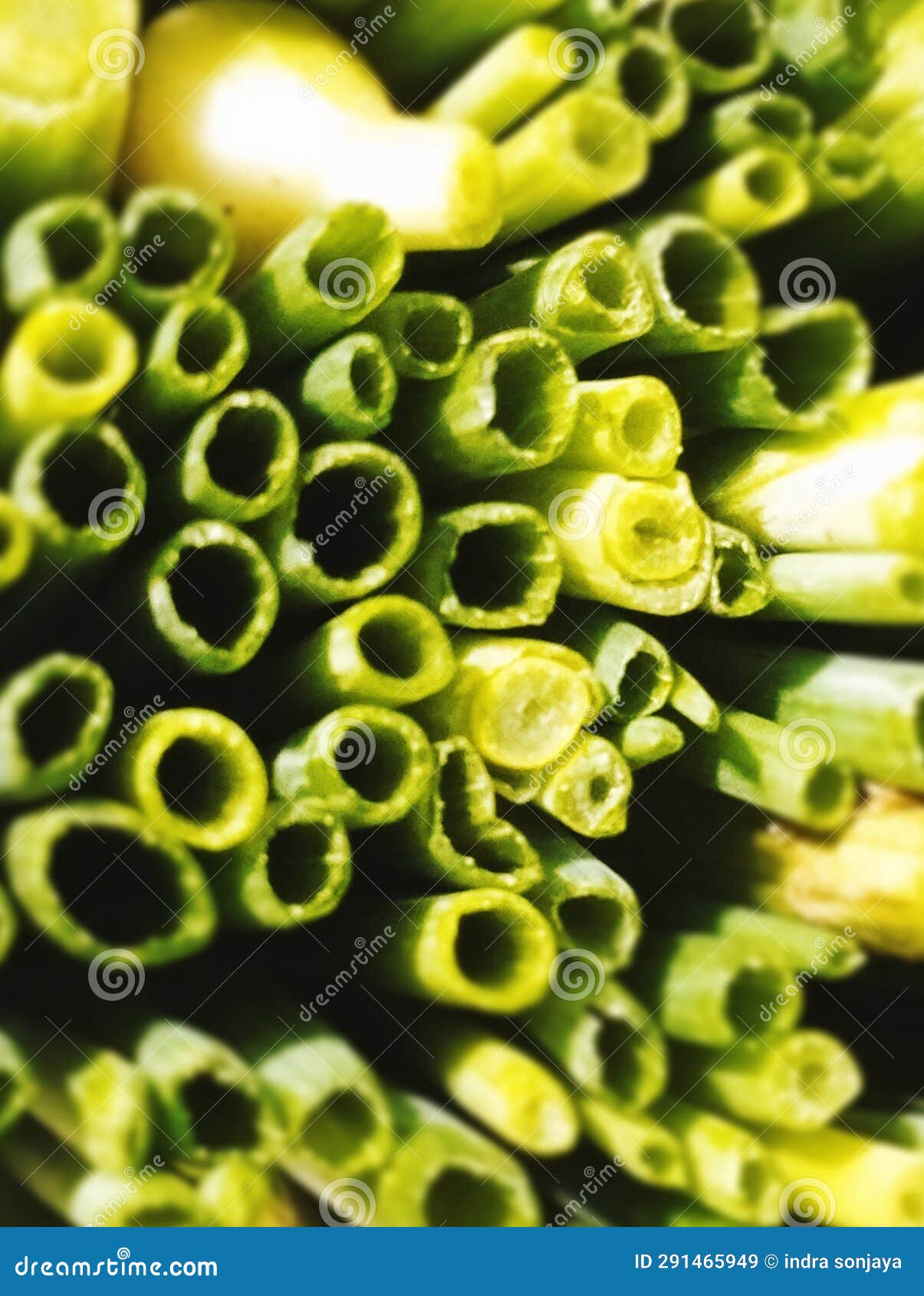 Small Size of Spring Onion in this Season Stock Image - Image of season ...