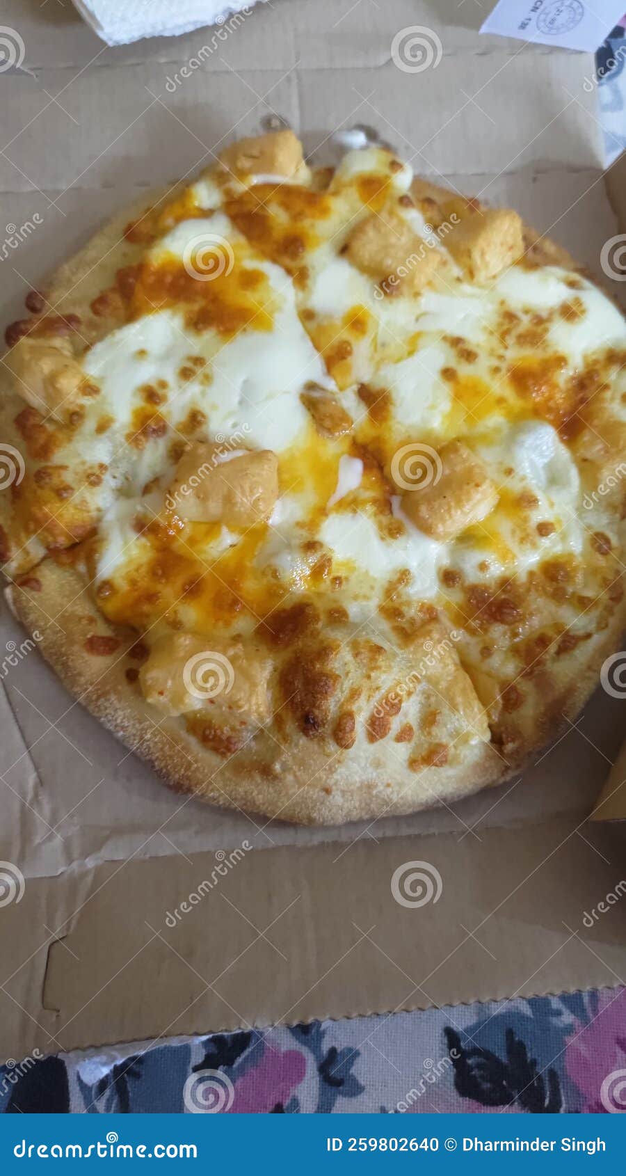 Small sized paneer pizza stock photo. Image of vegetable - 259802640