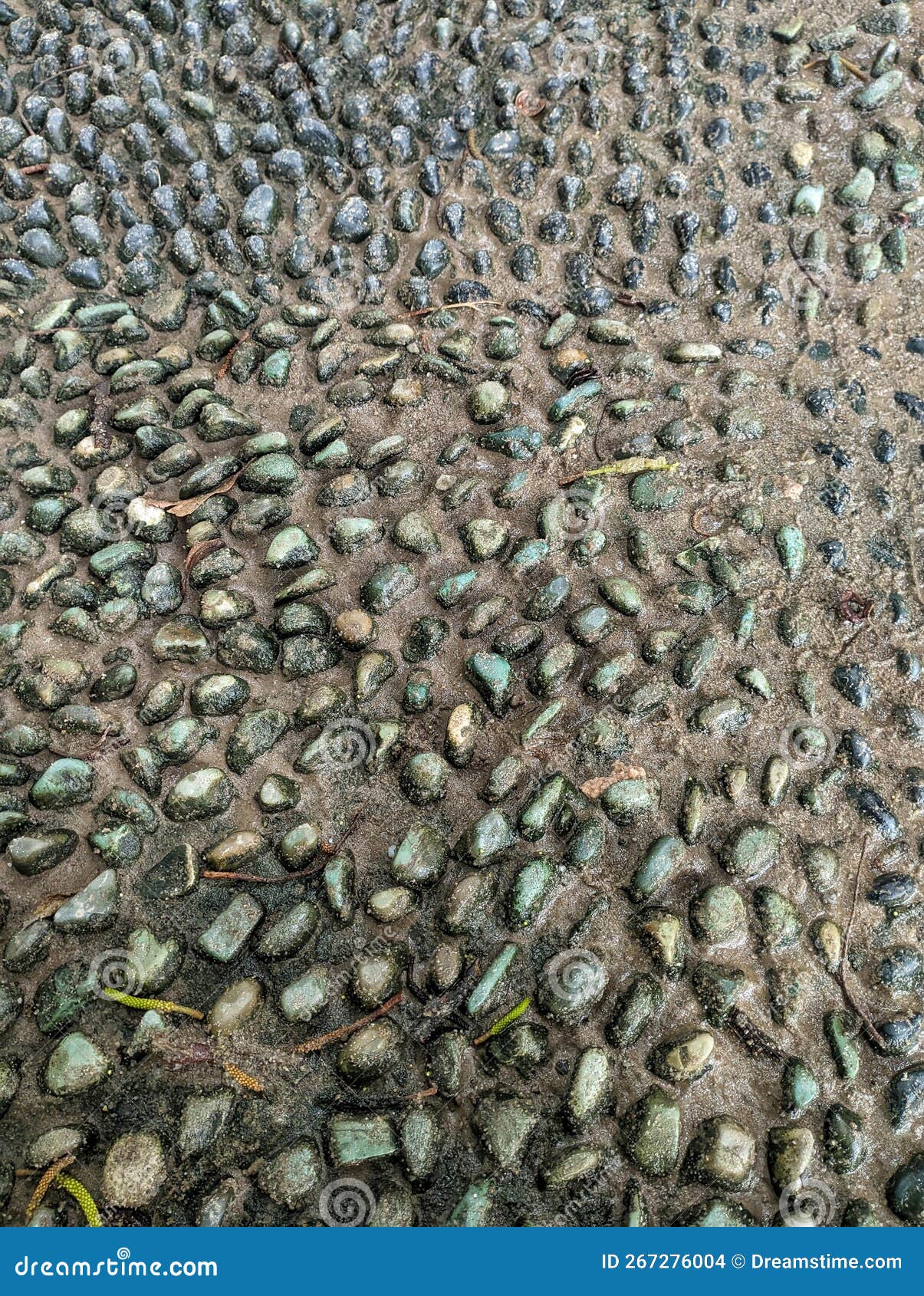 Small Sized Pebbles Neatly Arranged Stock Photo - Image of sized, small ...