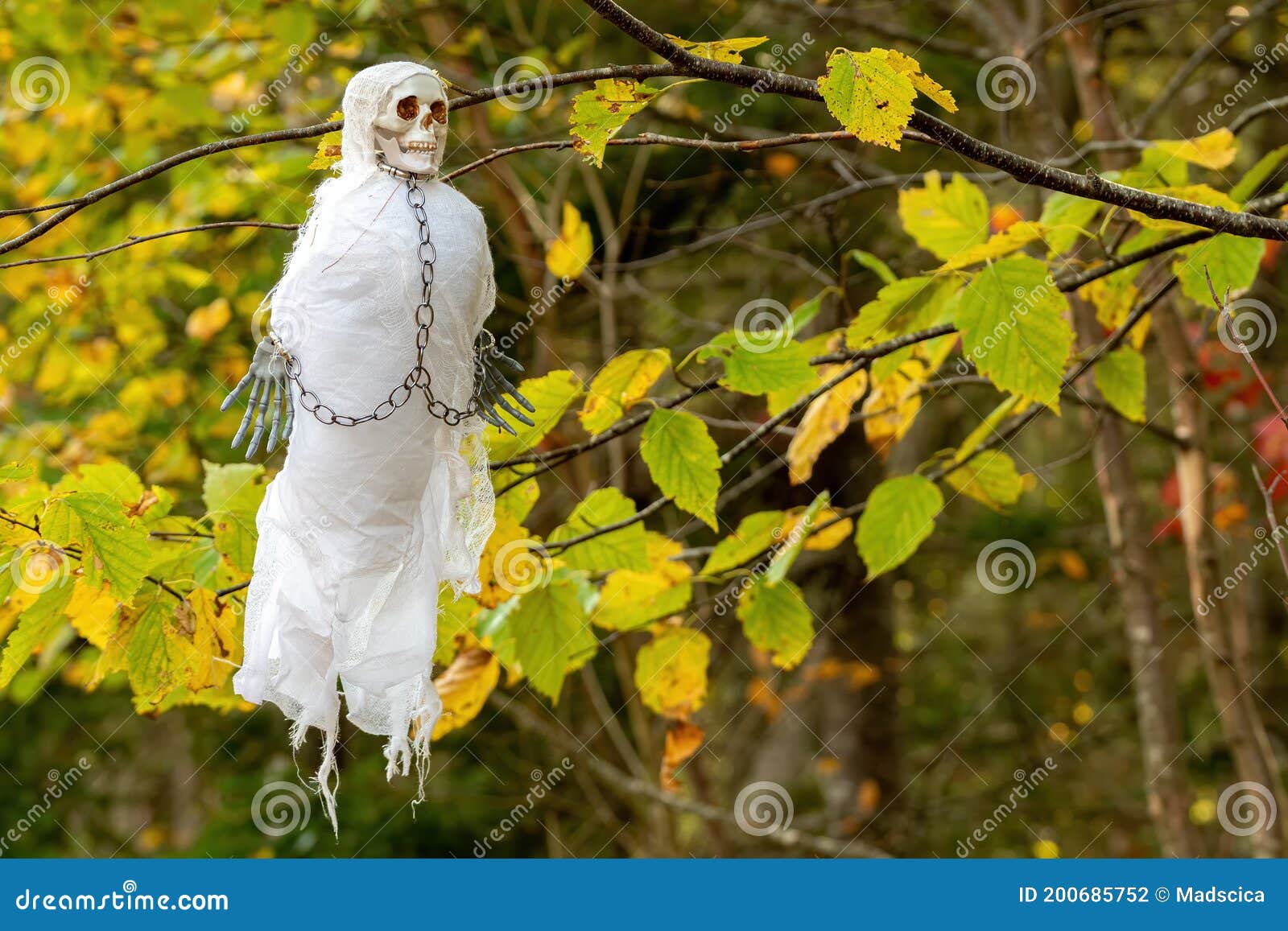 Small Skeletal Ghost Floating by Tree Branches Stock Photo - Image of ...