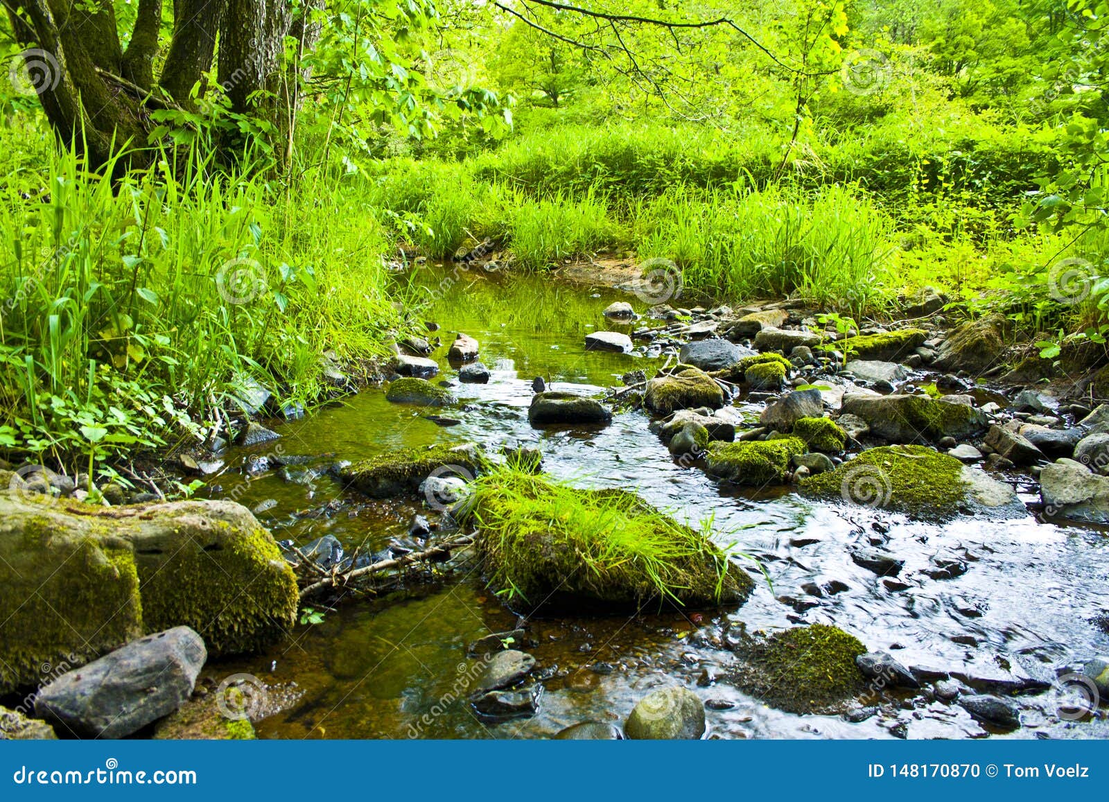 Small Slow Flowing River in Bavaria in Spring Stock Photo - Image of ...
