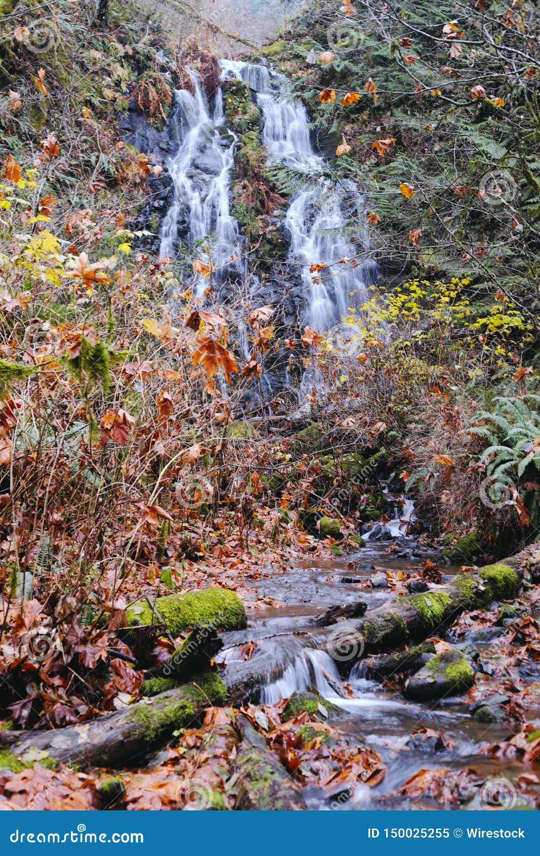 Small Slow Water Current on the Hills in the Woods Stock Image - Image ...