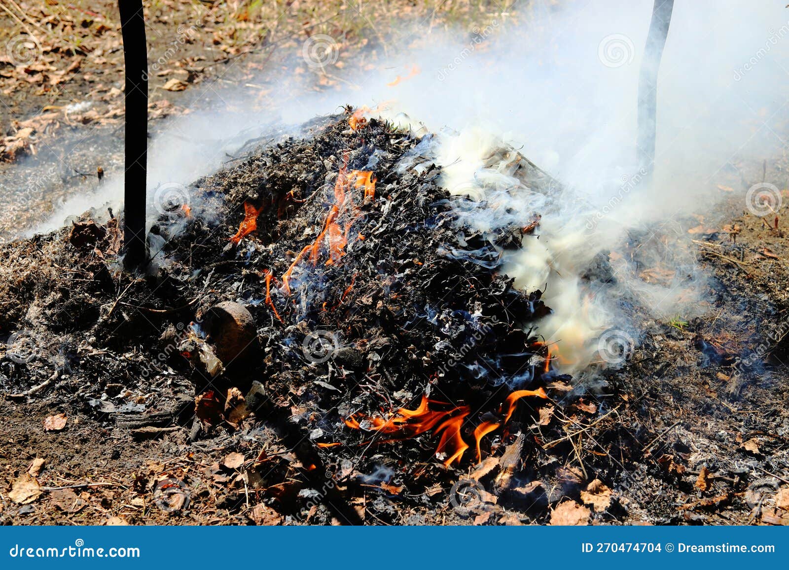 Small Smoldering Fire in the Forest. Forest Fires. Stock Photo - Image ...
