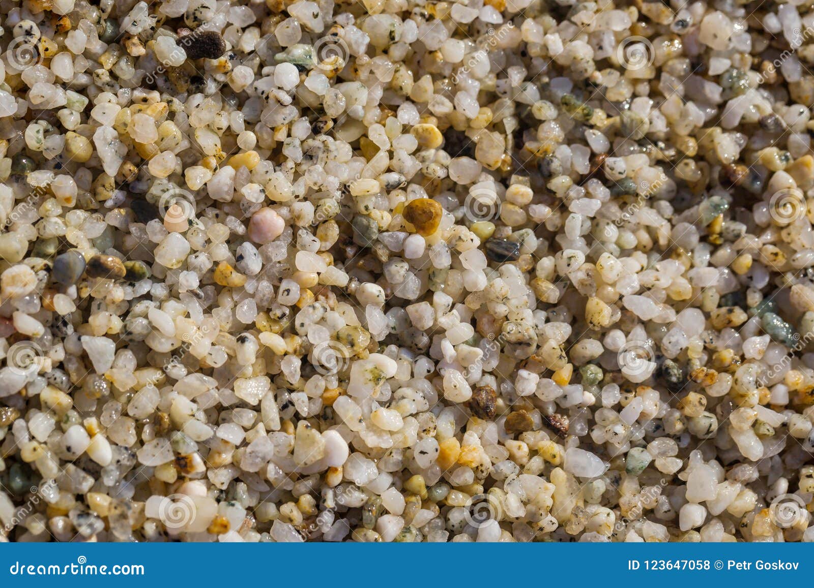 Small smooth pebbles stock photo. Image of light, abstract - 123647058