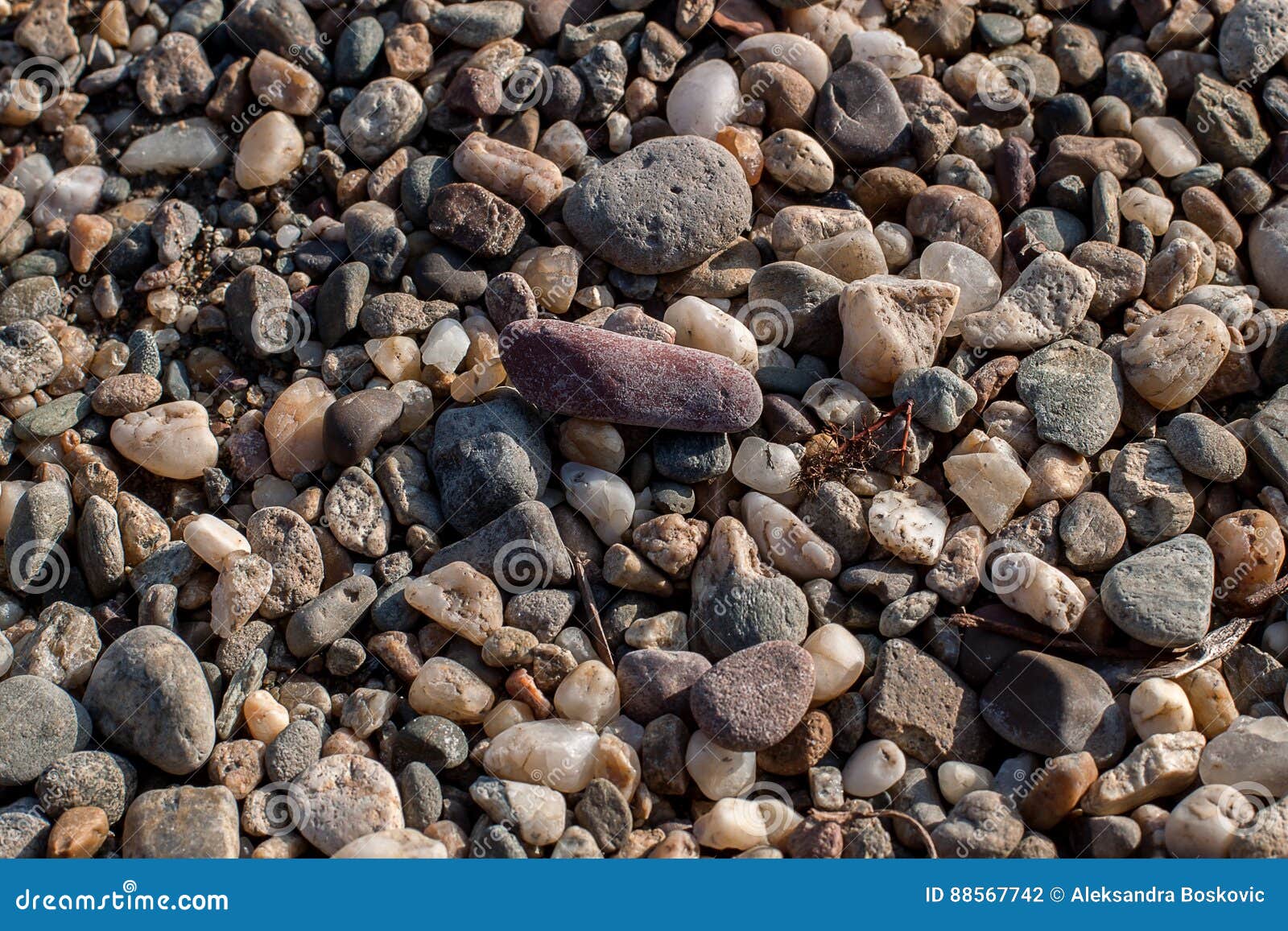 Small smooth river pebbles stock photo. Image of round - 88567742