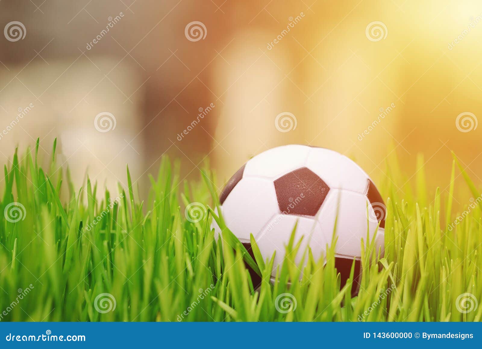 Small Soccer Gates Royalty-Free Stock Photo | CartoonDealer.com #75802701