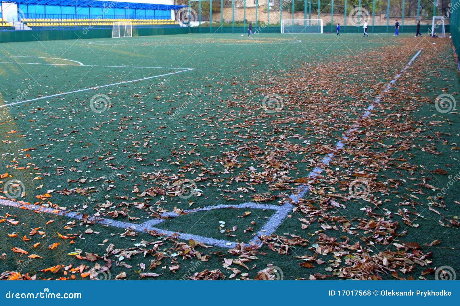 Small soccer field stock photo. Image of match, park - 17017568