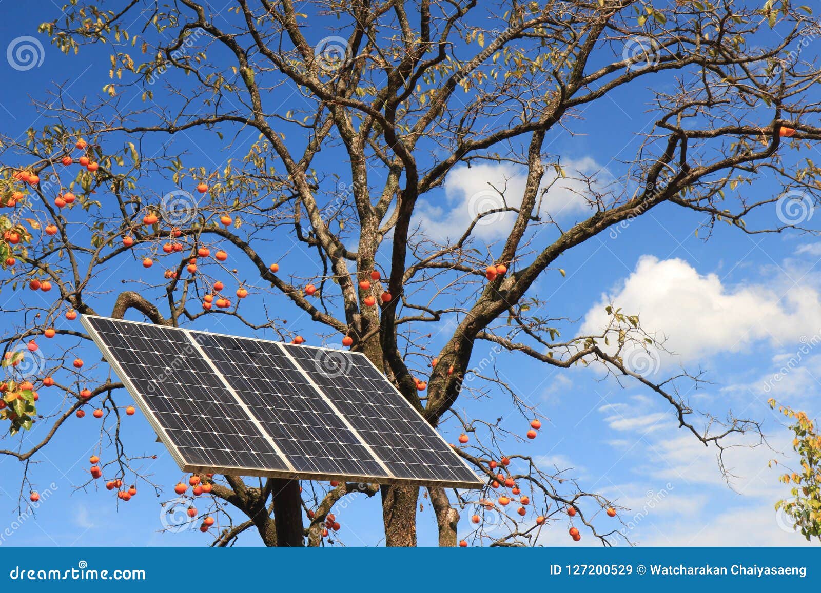 Small Solar Panels on Metal Pillars. Sun Stock Image - Image of solar ...