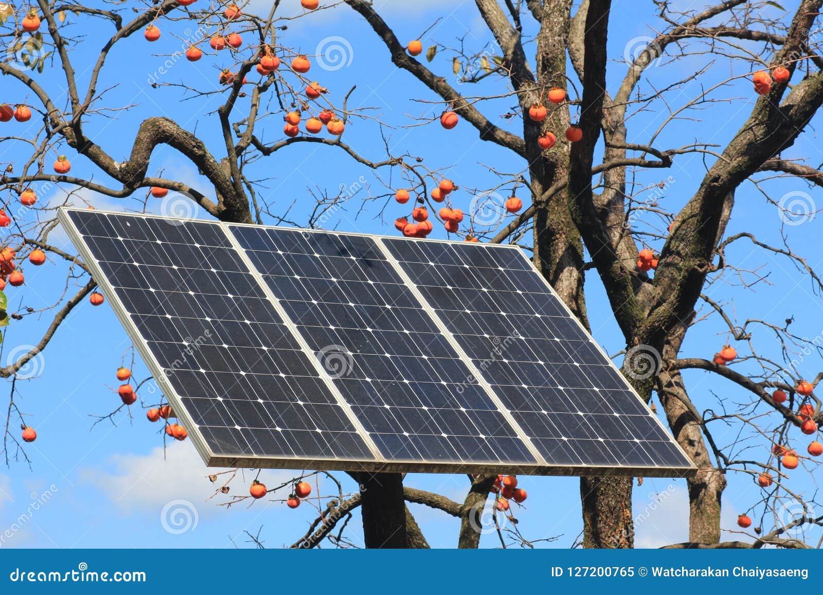 Small Solar Panels on Metal Pillars. Sun Stock Image - Image of walkway ...