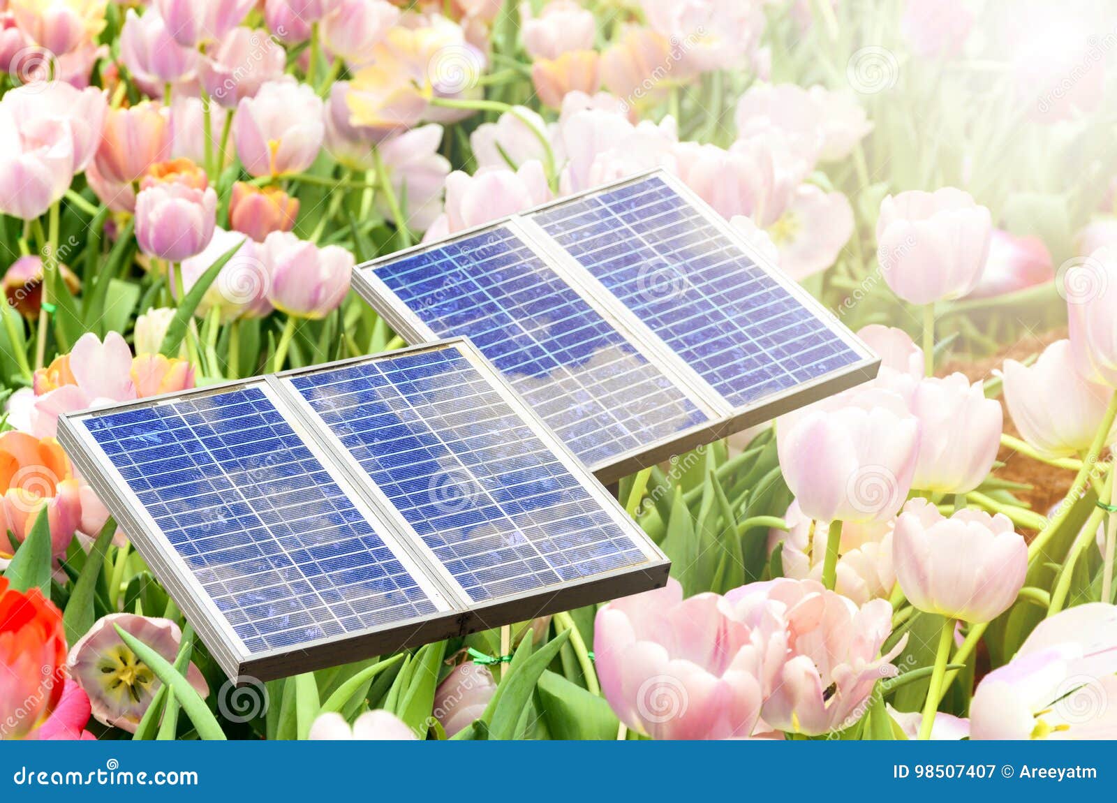Small solar panels. stock image. Image of flora, electricity - 98507407