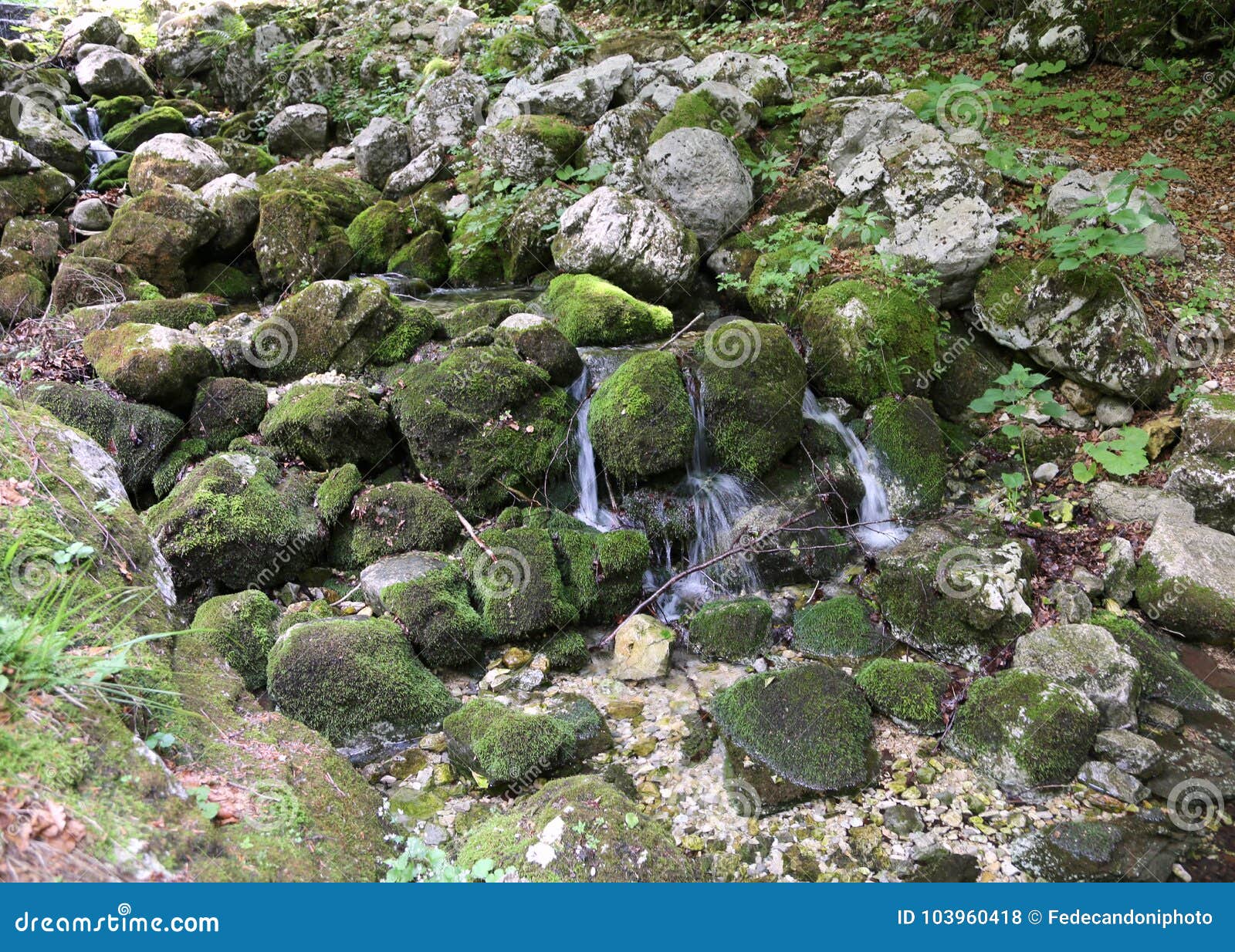 Source of Pure Fresh Water in the Mountains Stock Photo - Image of ...