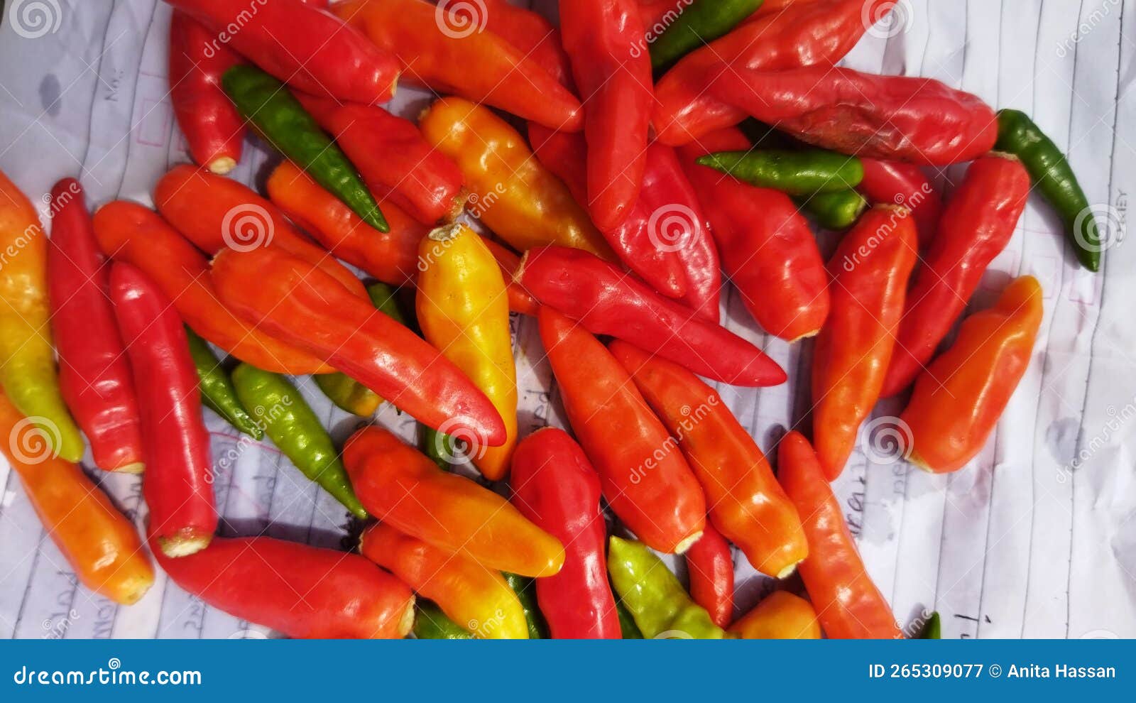 Small spicy chilis stock image. Image of chilis, small - 265309077