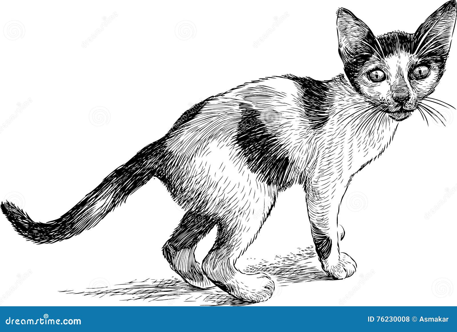 Small spotted kitten stock vector. Illustration of small - 76230008