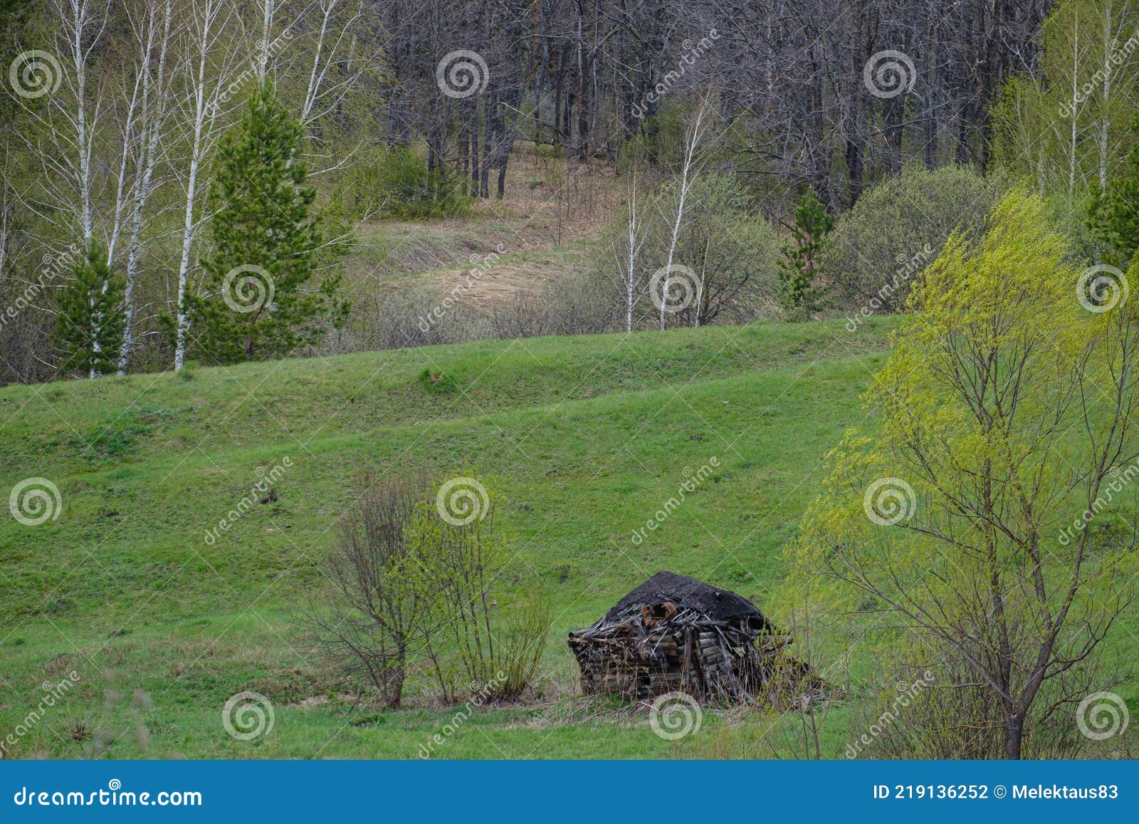 A Small Sprawling Hut in a Field among the Trees Stock Photo - Image of ...