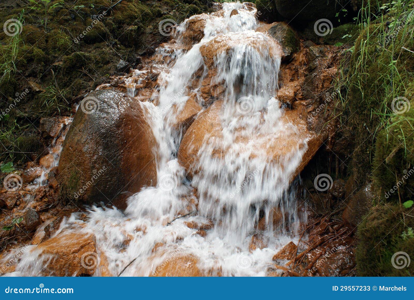 Small spring stock image. Image of forest, fall, waterfall - 29557233