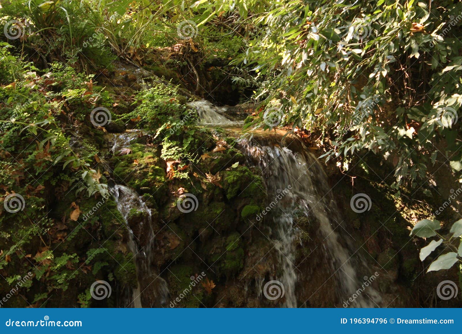 A Small Spring that Has Been Flowing from the Mountains for a Very Long ...