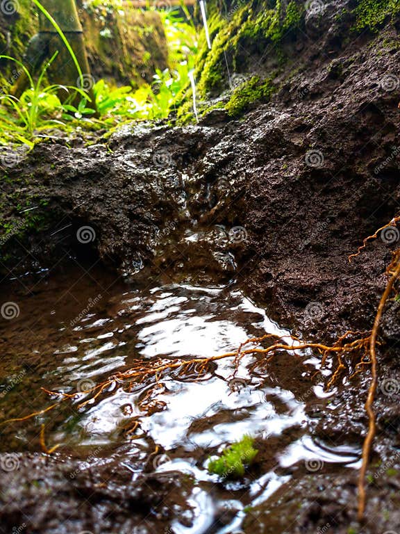 Small Spring in the Middle of the Wilderness Stock Photo - Image of ...