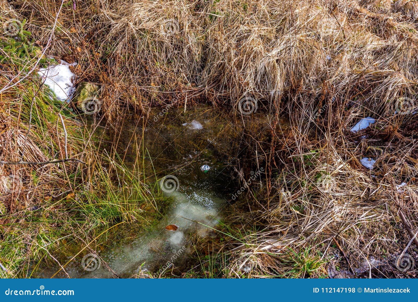 Small Spring and Puddle in the Forest, with the Garbage in Water ...