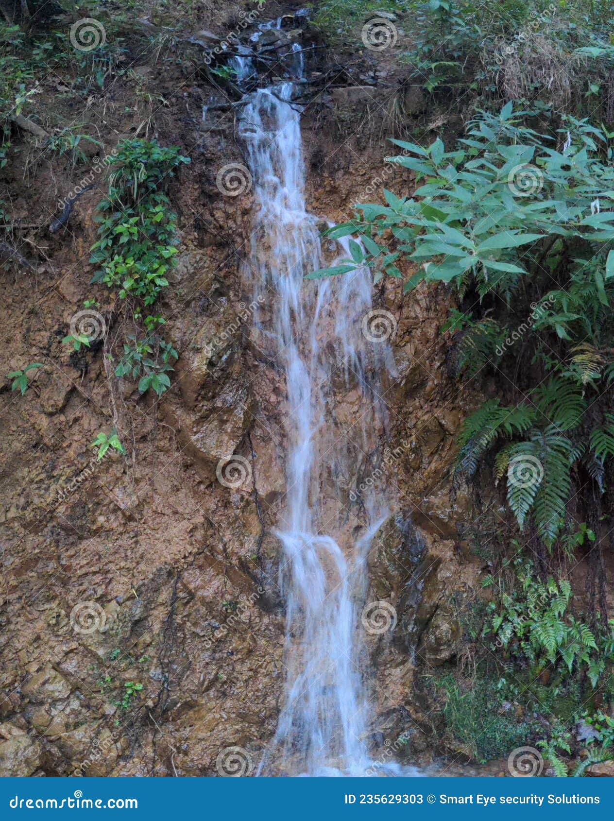 Small Spring of Water Falling from the Hill 1 Stock Image - Image of ...