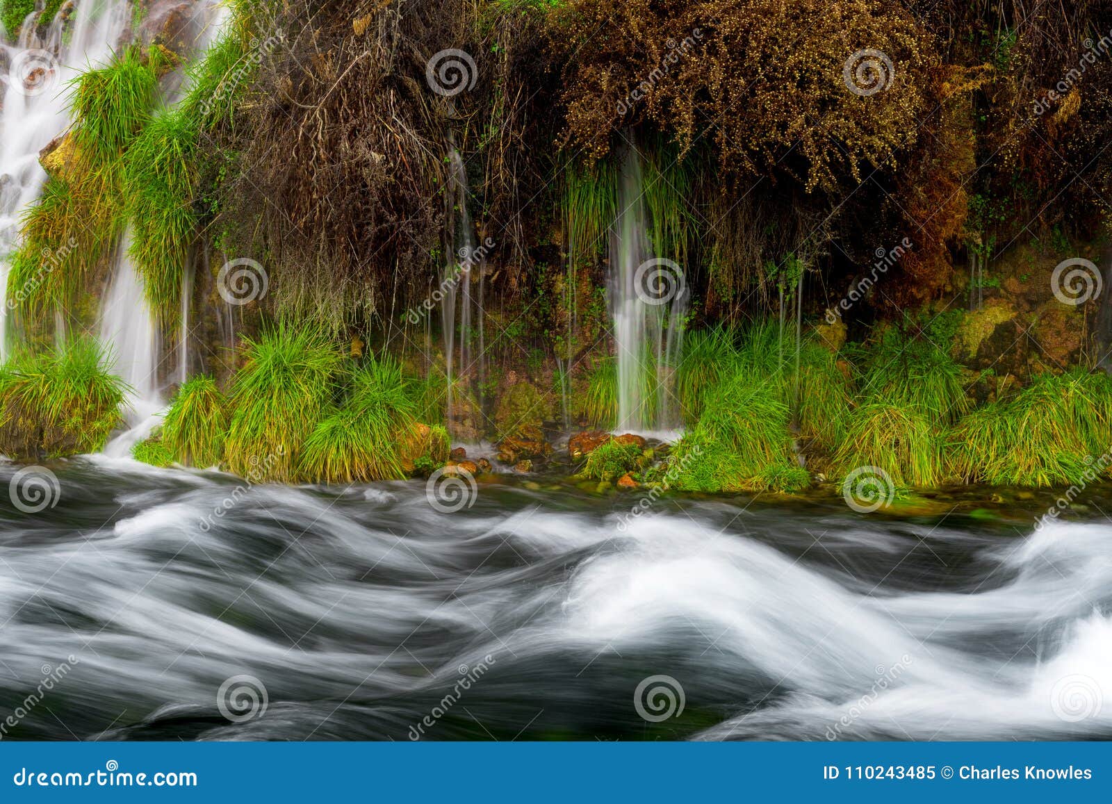 Small Springs Coming from the Ground Feed a Small Stream Stock Image ...