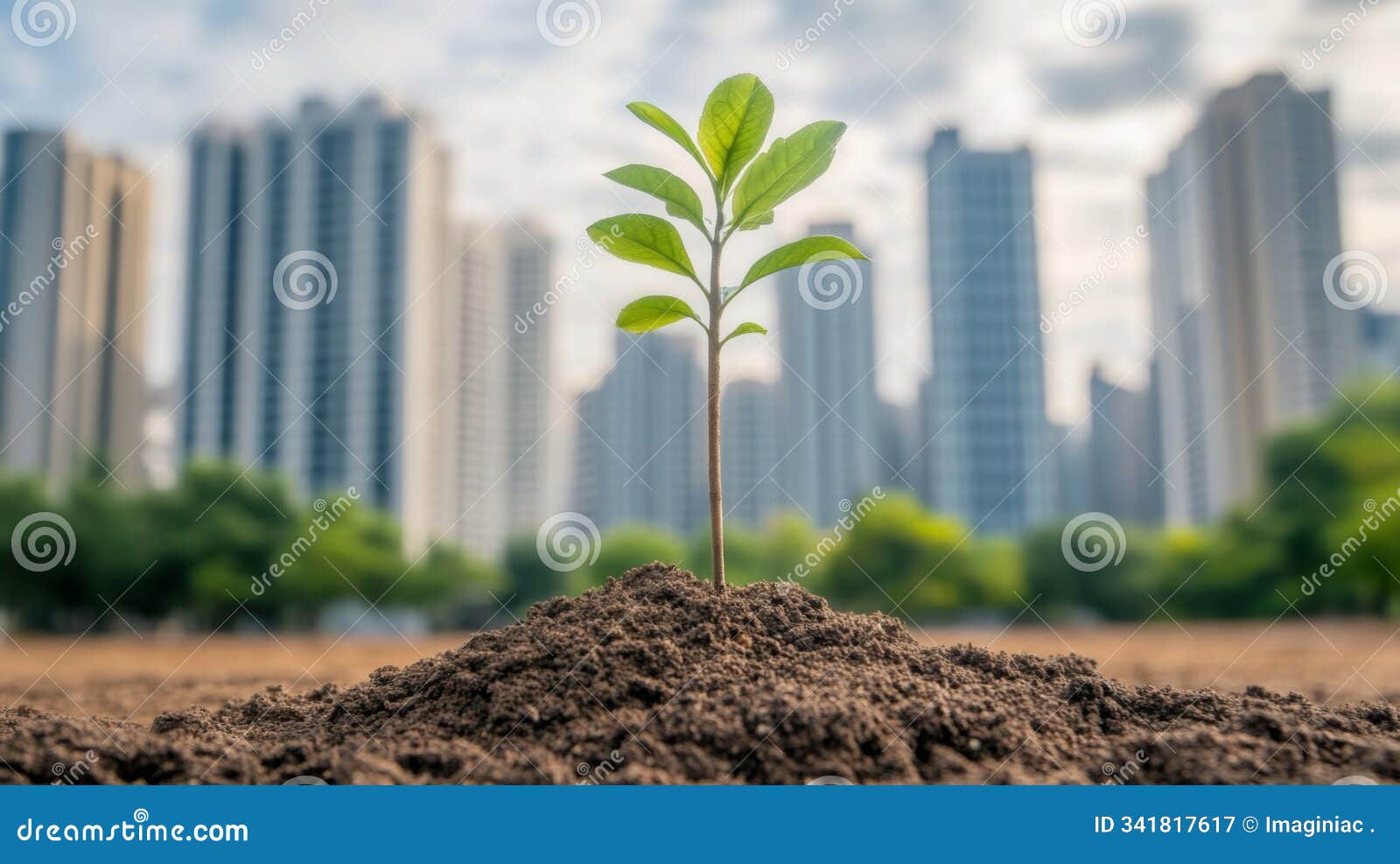 A Small Sprout Growing in Soil with City Buildings in the Background ...
