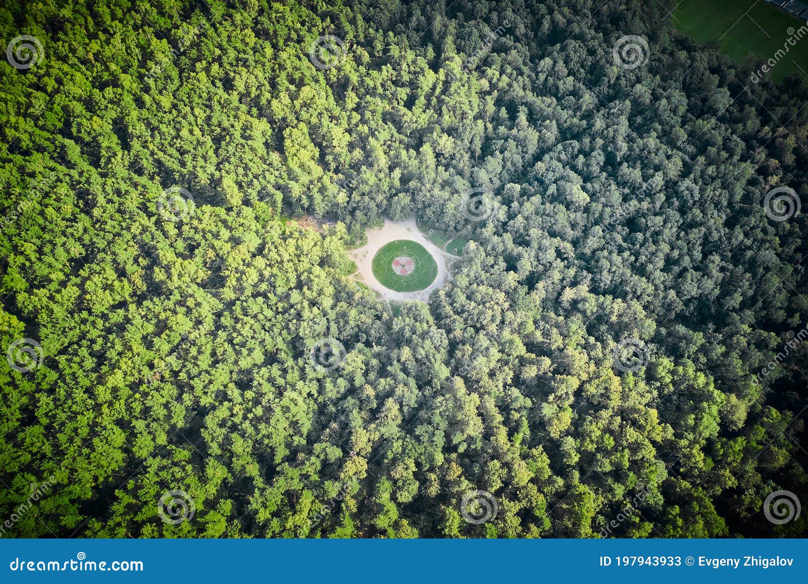 Small Square in the Middle of Dense Forest. High Angle View from Above ...