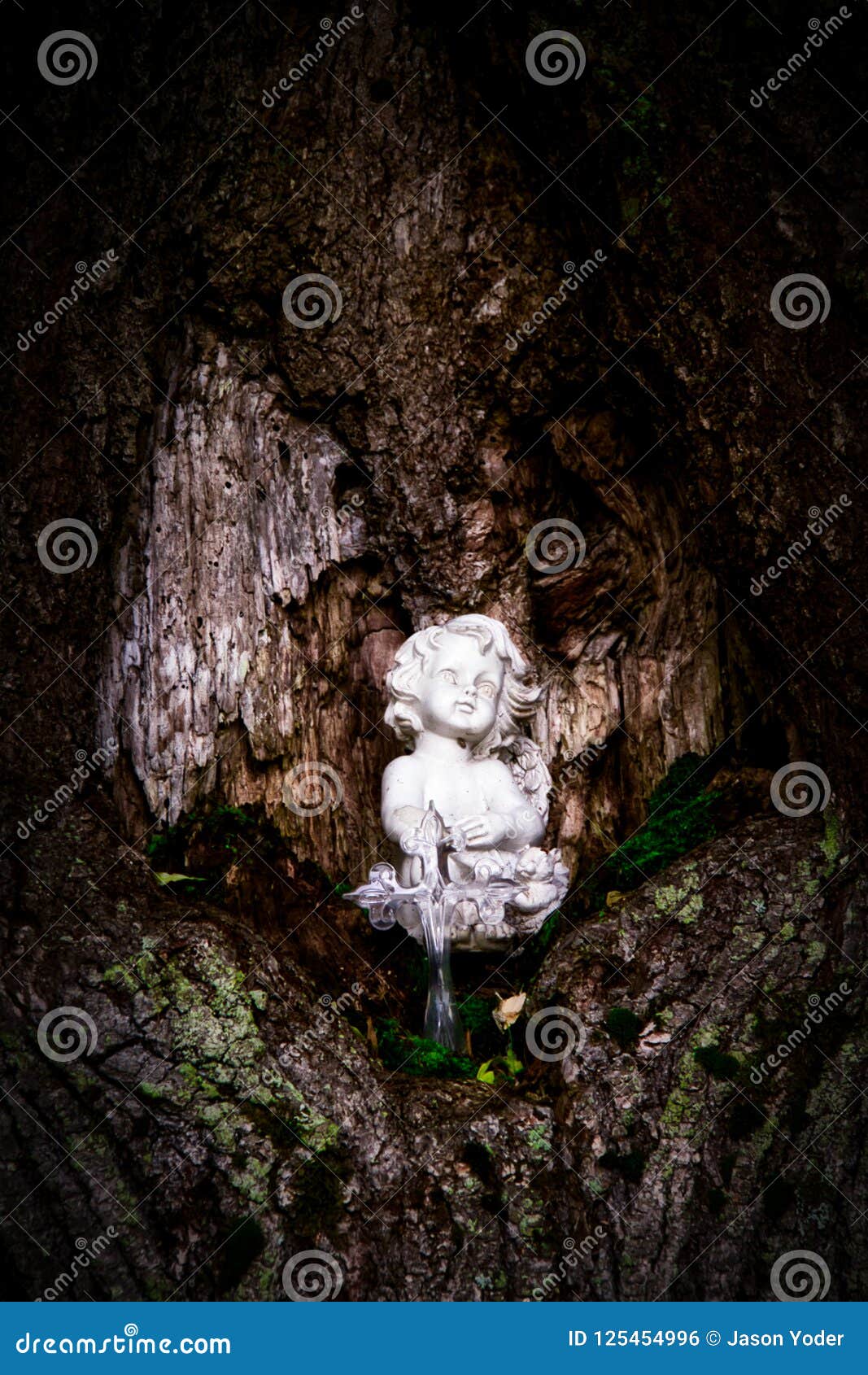 Angel in a Tree stock photo. Image of christian, trunk - 125454996