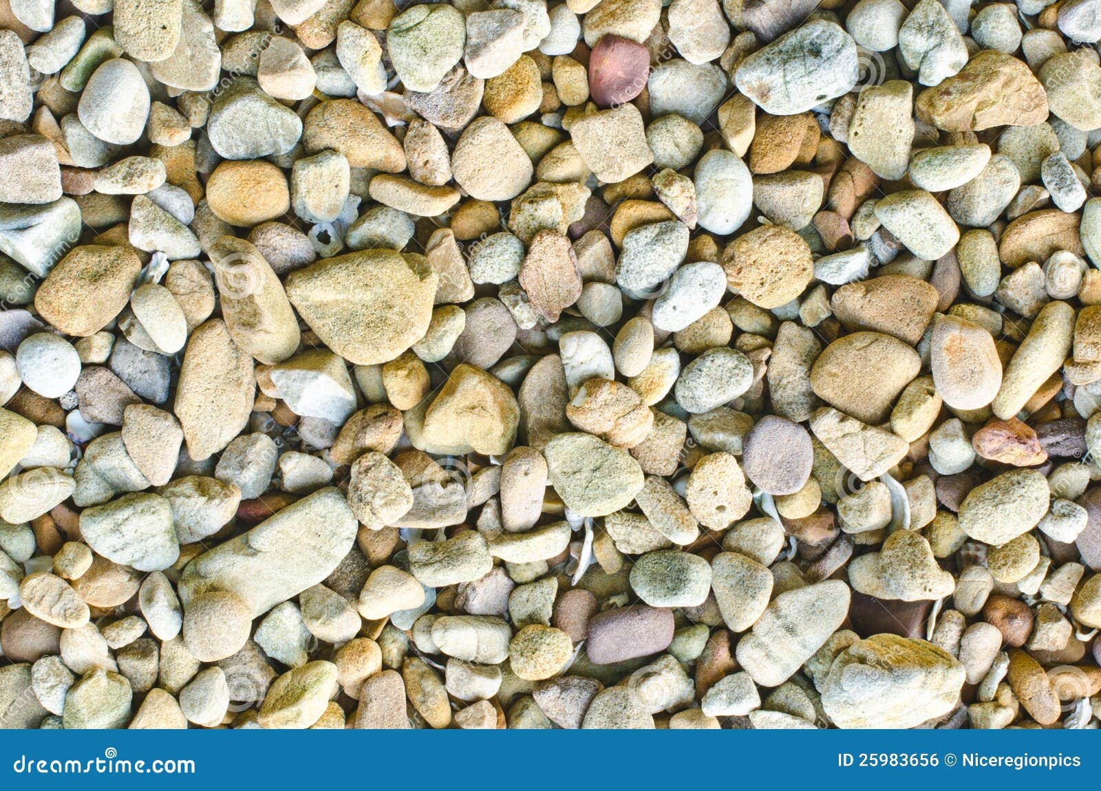 Small stone. stock photo. Image of nature, ground, detail - 25983656