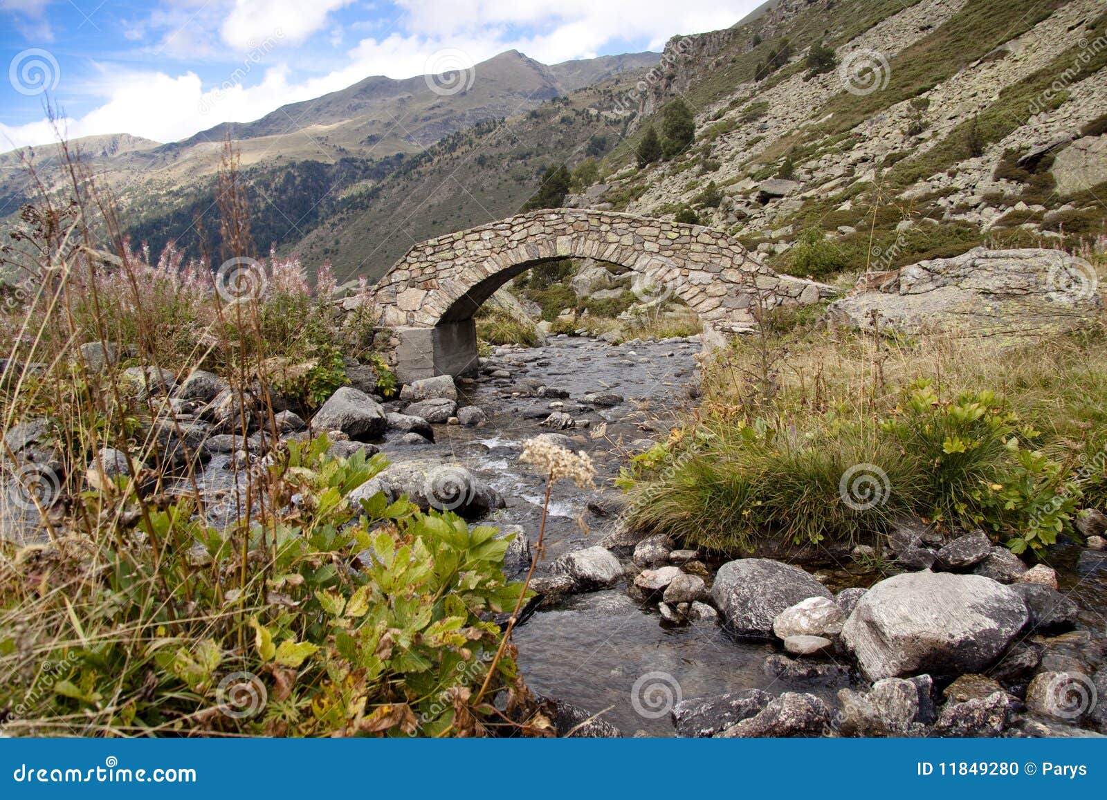 Small stone bridge stock photo. Image of leaves, drop - 11849280