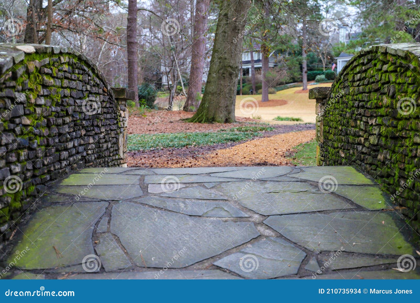 A Small Stone Bridge Covered in Algae Over a Lake with Lush Green and ...