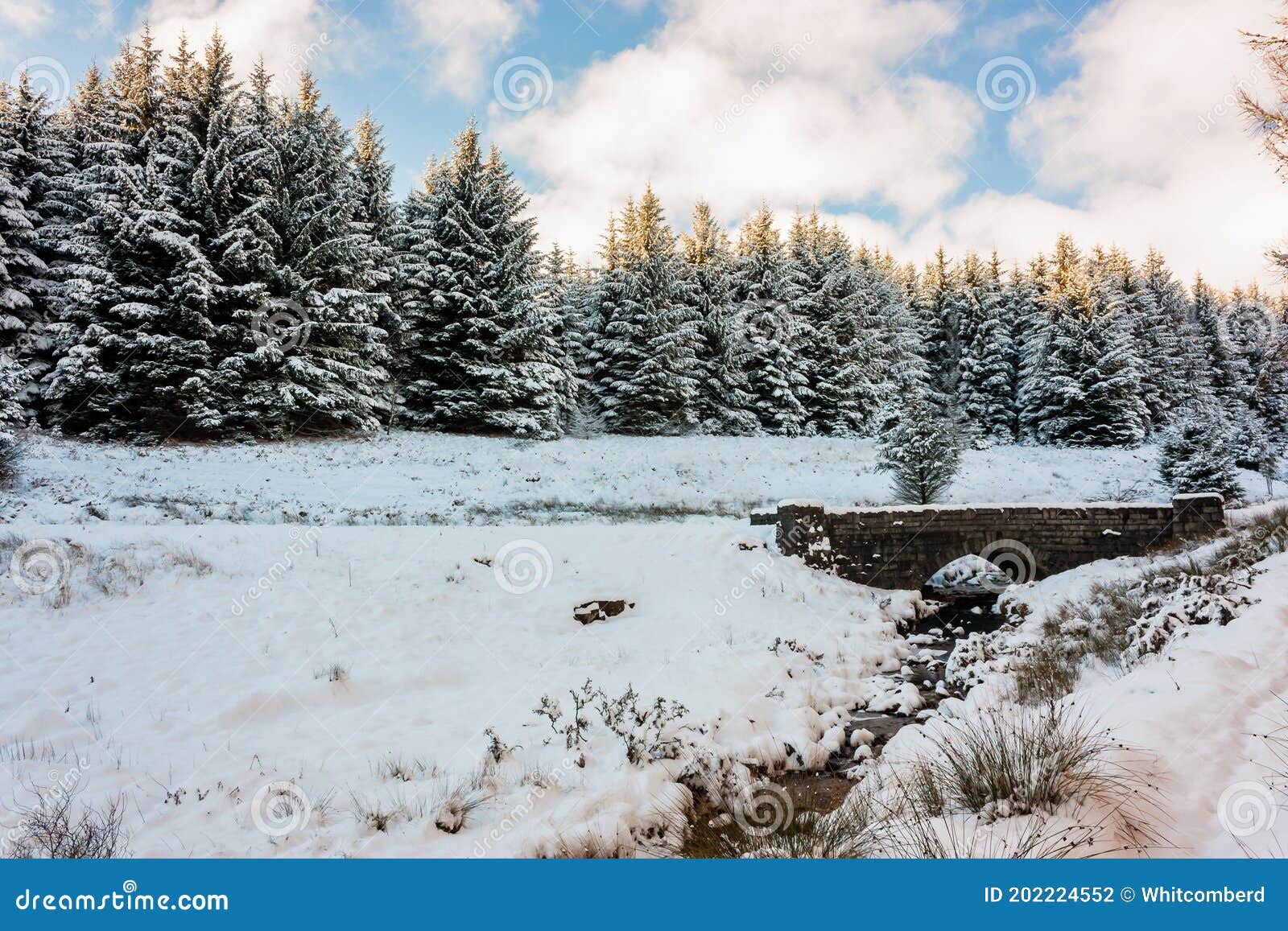 Small Stone Bridge in a Snow Covered Forest Stock Photo - Image of snow ...