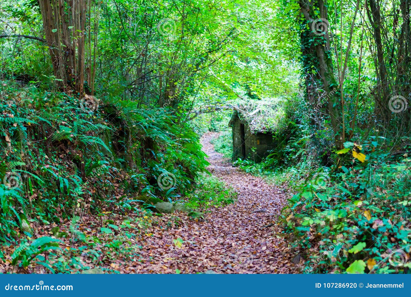 Small Stone Hut in the Forest in Asturis Stock Photo - Image of europe ...