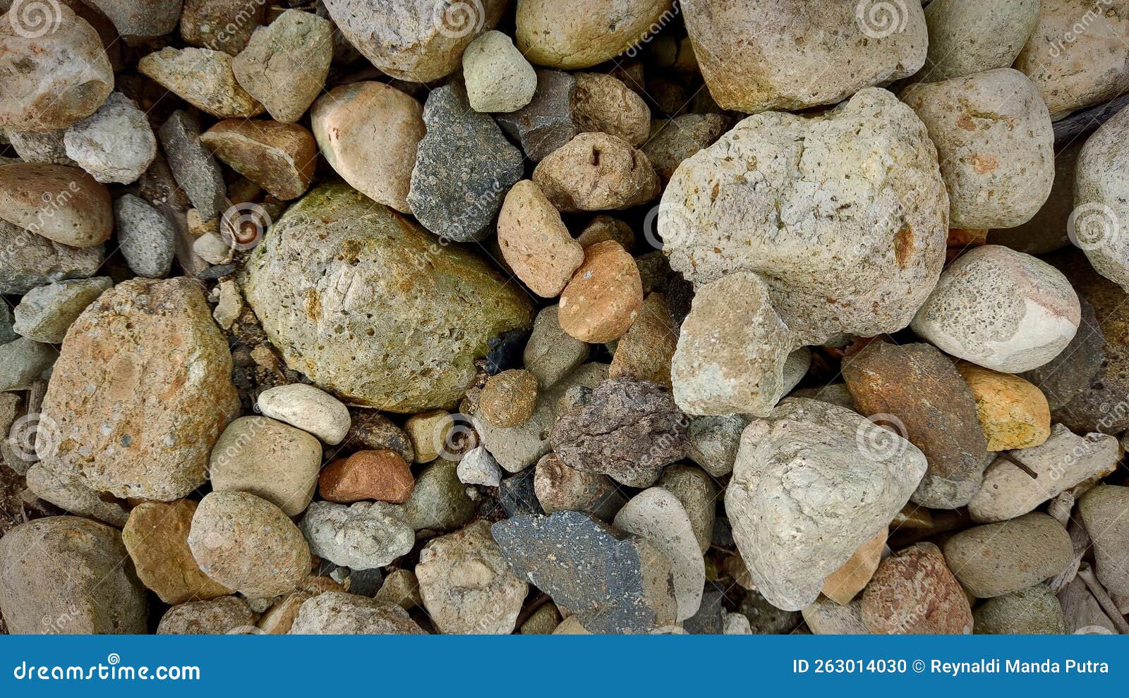 A Small Stone that is Not Considered Stock Photo - Image of geology ...
