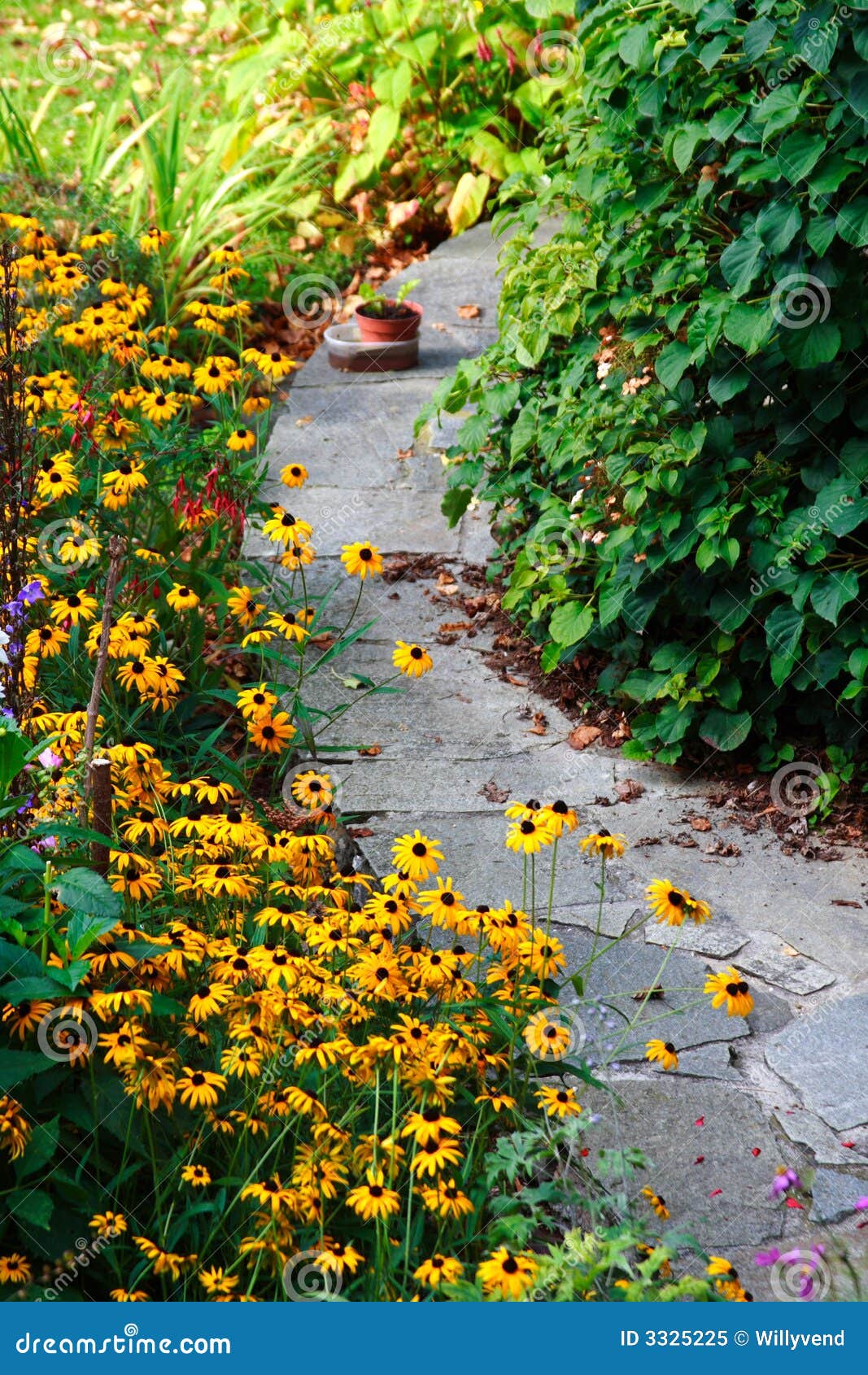 Small Stone Path in the Garden Stock Image - Image of building ...