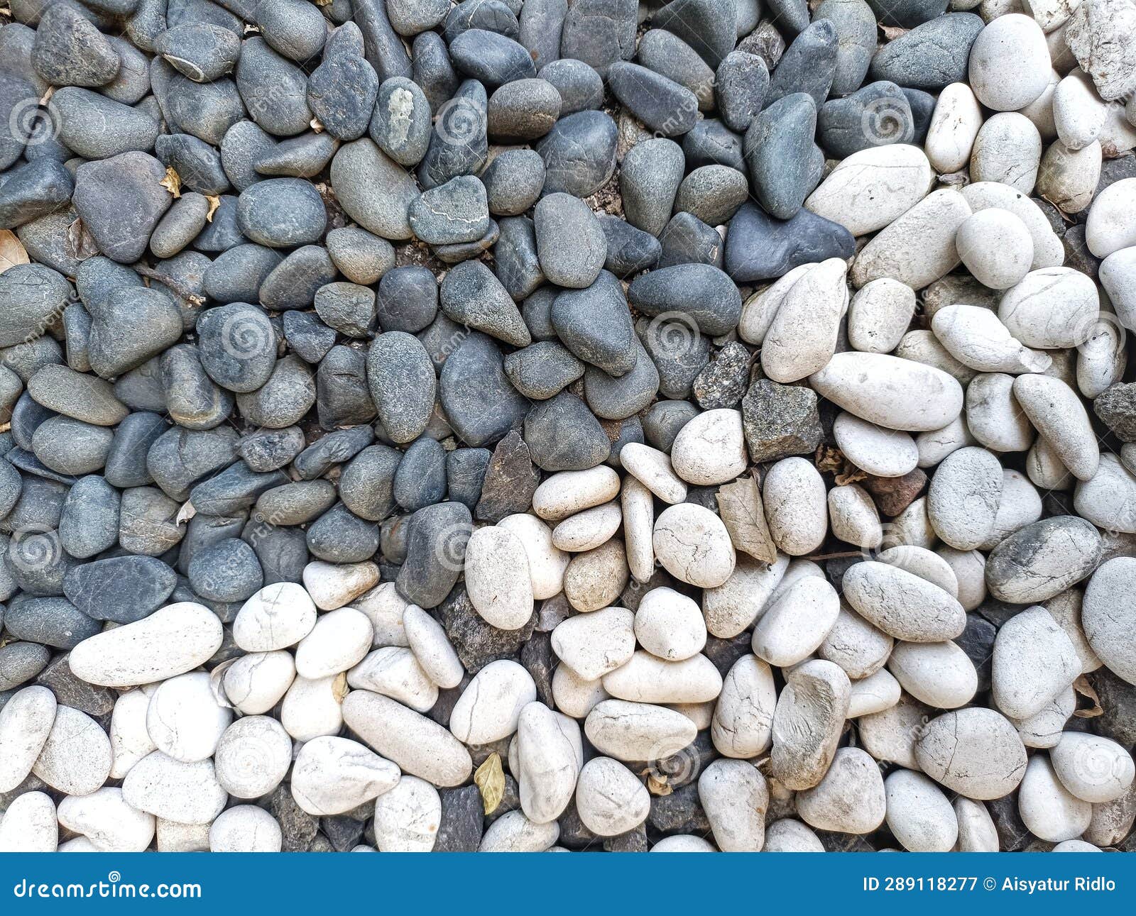 Small Stone Texture for Background Black and White Colour Stock Image ...