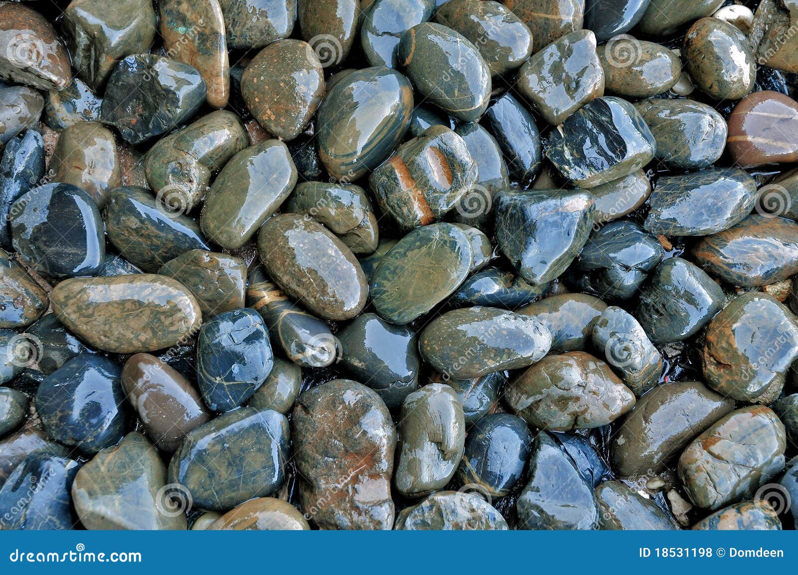 Small stone wet. stock photo. Image of small, rocky, state - 18531198